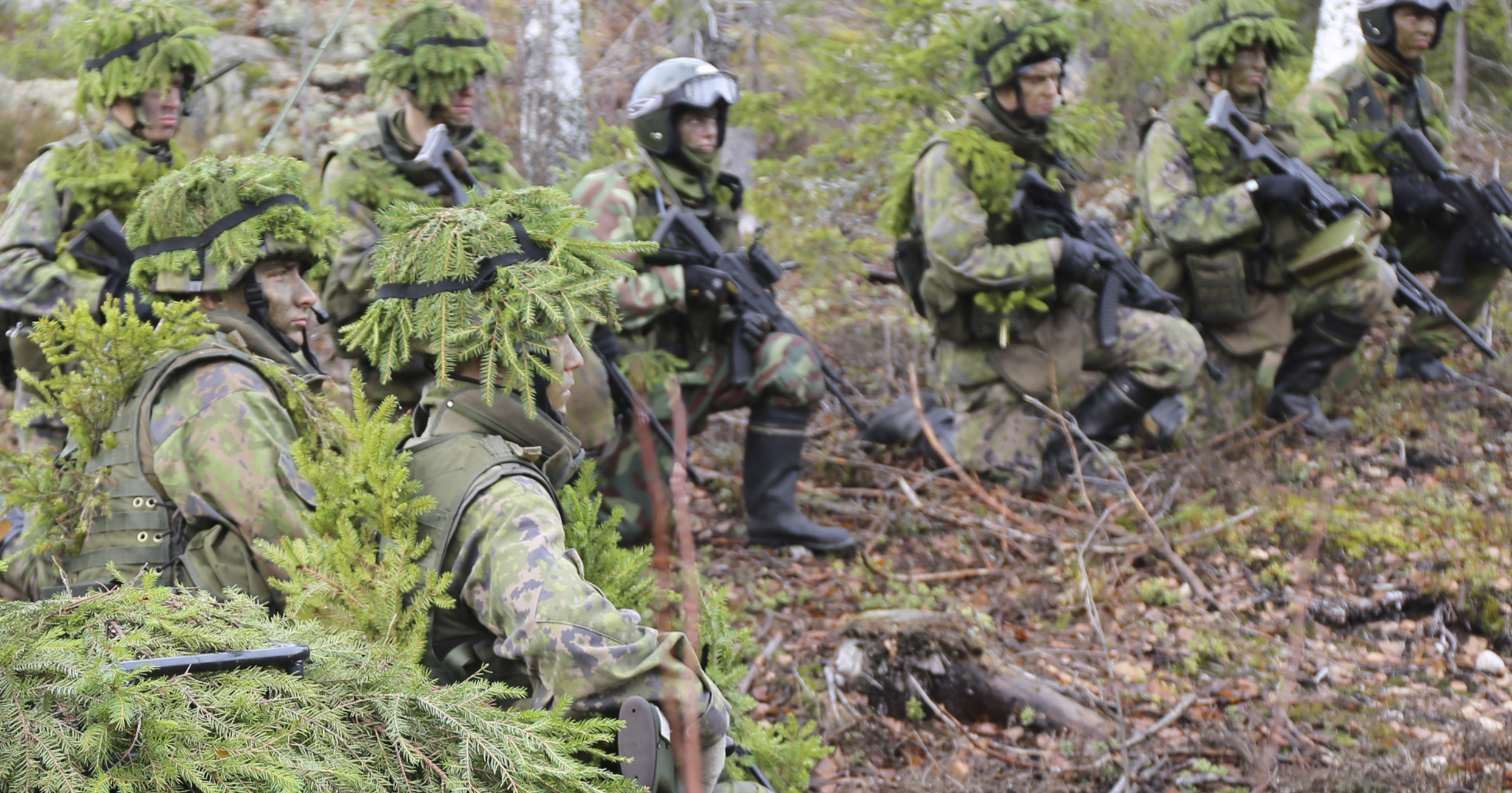 Karjalan prikaati - Maavoimat